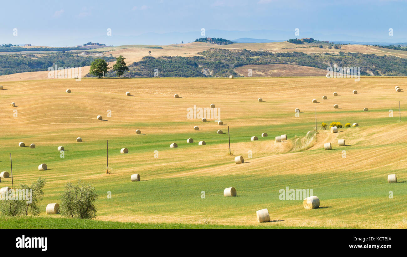 Tuscany hills landscape, Italy. Rural italian panorama Stock Photo - Alamy
