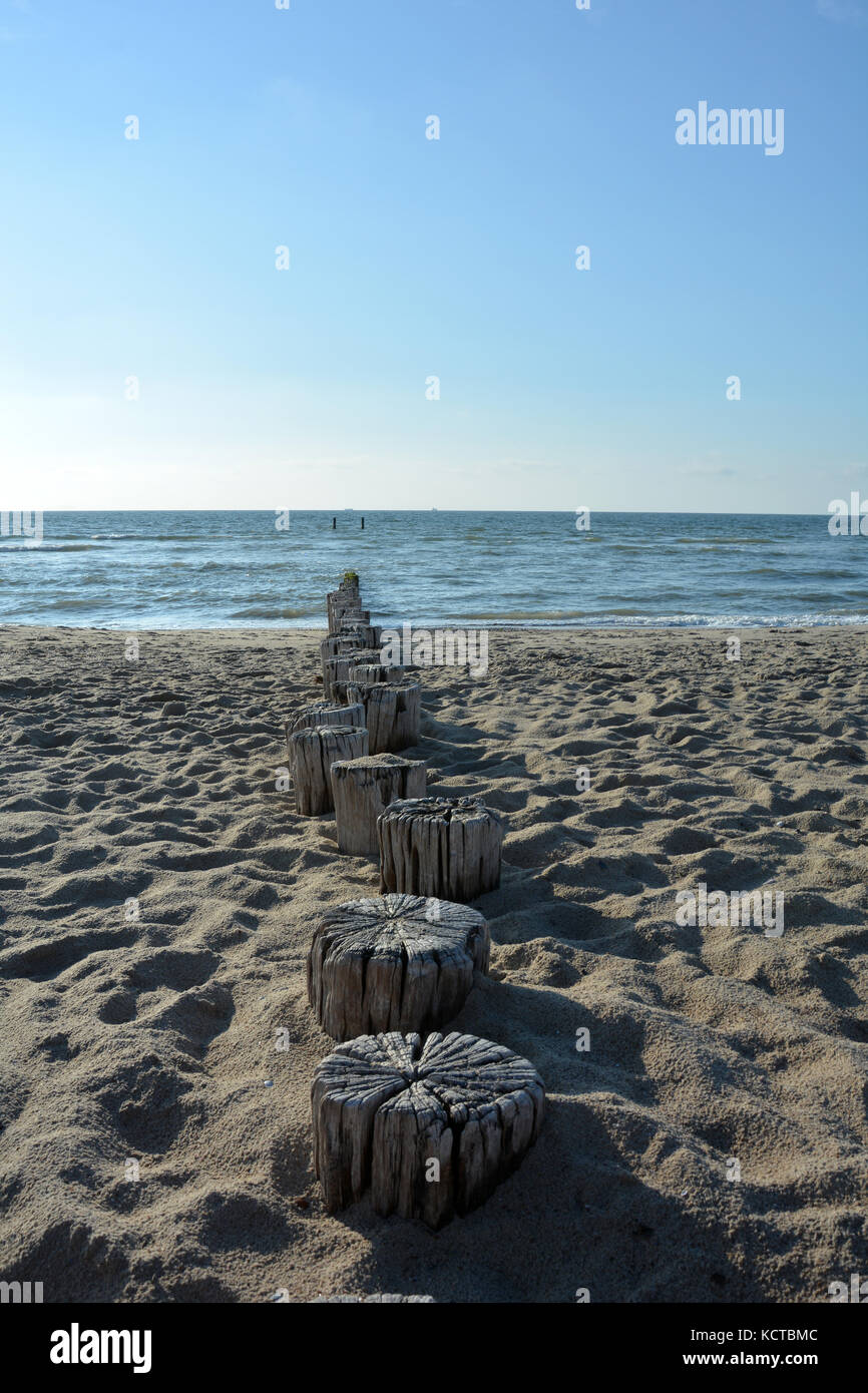 Netherland Wooden Groynes High Resolution Stock Photography and Images ...