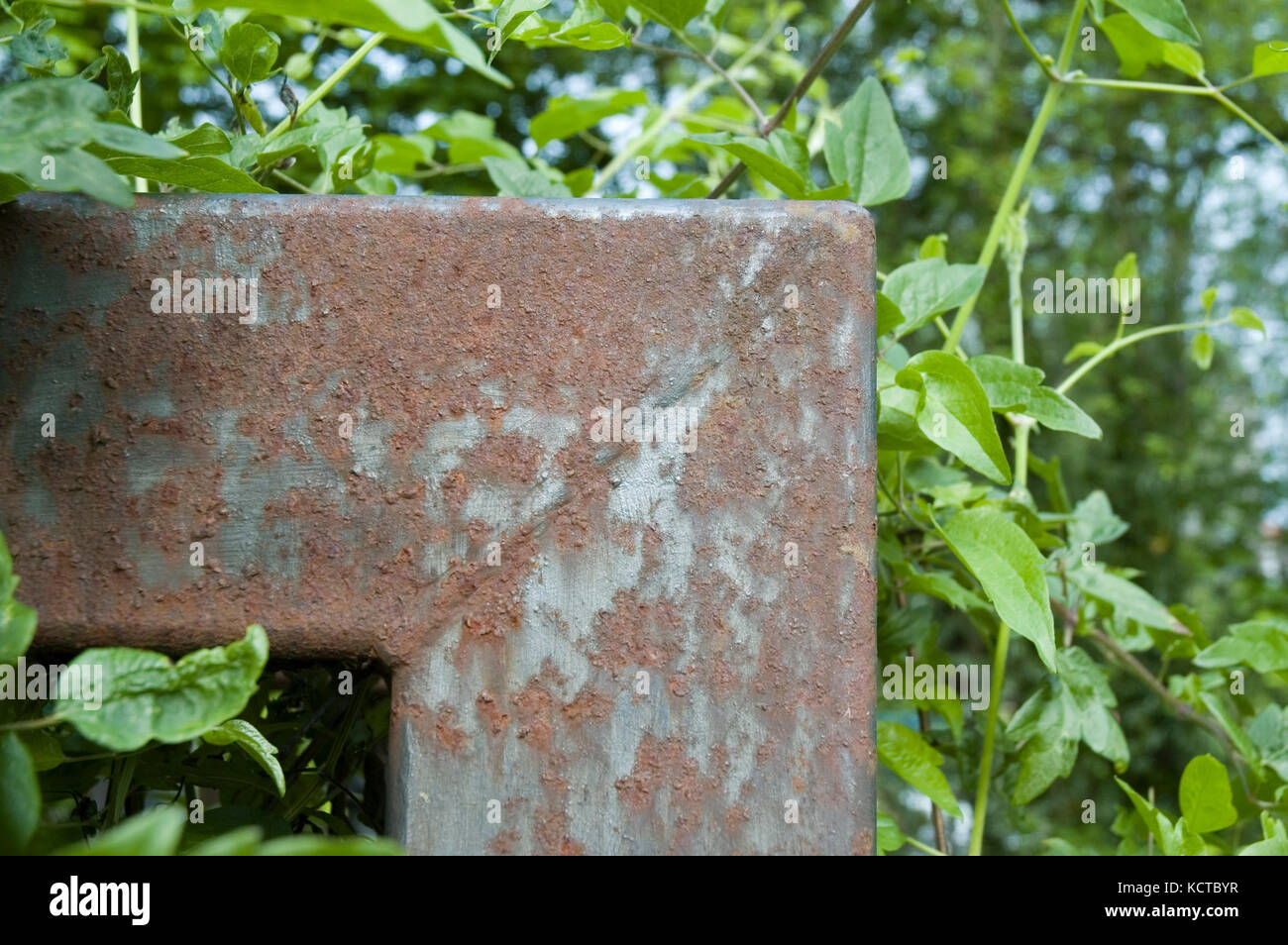 Rusty trellis hi-res stock photography and images - Alamy