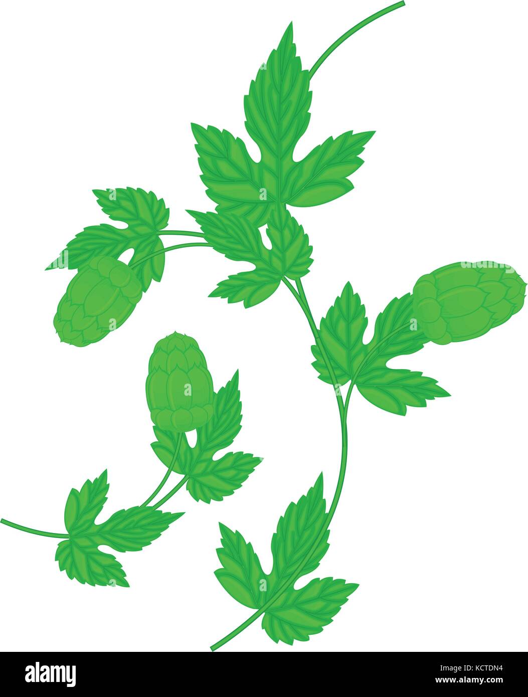 Wavy leaf Stock Vector Images - Alamy