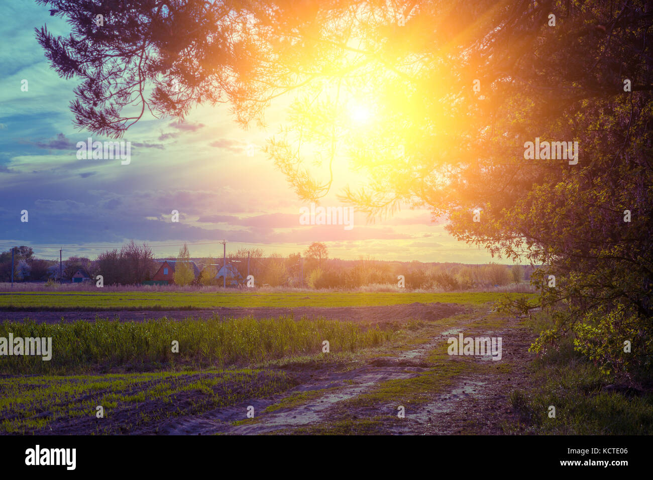 Evening rural landscape in spring. Dirt road at sunset. Field and ...