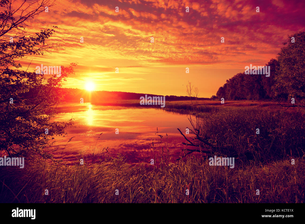 Early morning, sunrise over the lake. Misty morning, rural landscape ...