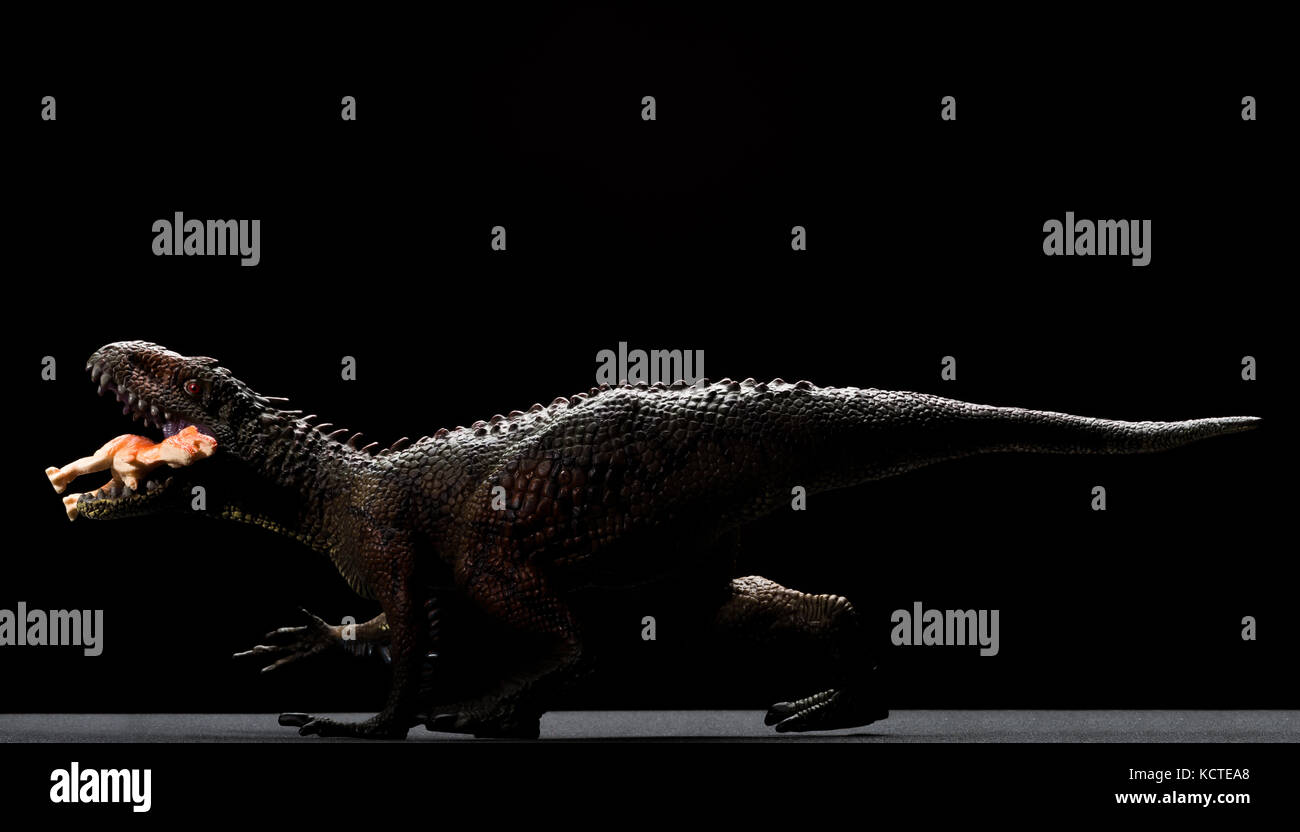 Carcharodontosaurus toy catches a smaller dinosaur close up on a dark ...