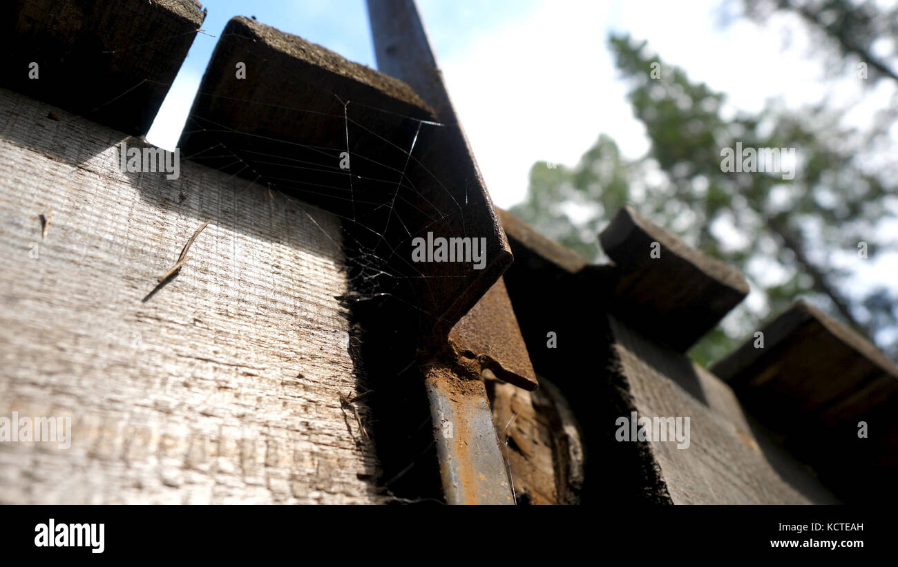 Old Cobwebs in abandoned house. The spider net under the roof. Cobwebs ...