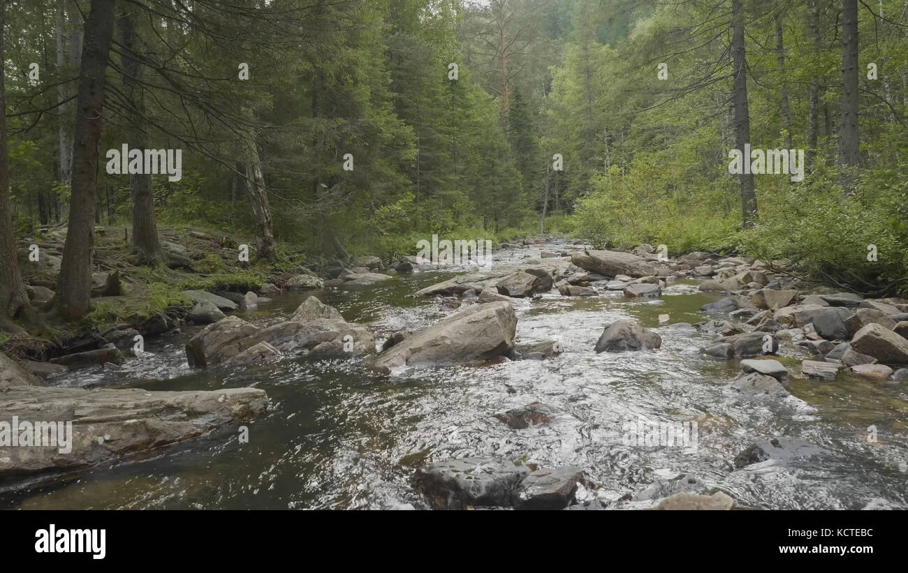 Landscape with forest and a river in front. Beautiful scenery. River in ...