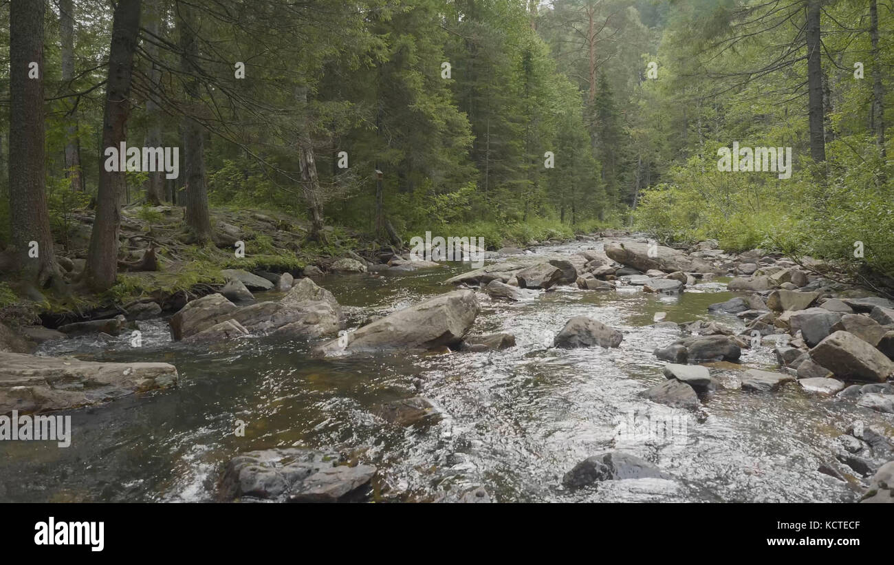 Landscape with forest and a river in front. Beautiful scenery. River in ...