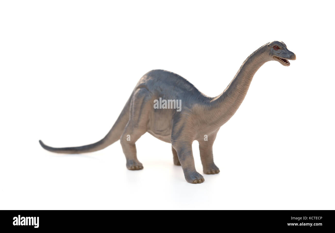 Diplodocus toy on a white background Stock Photo - Alamy