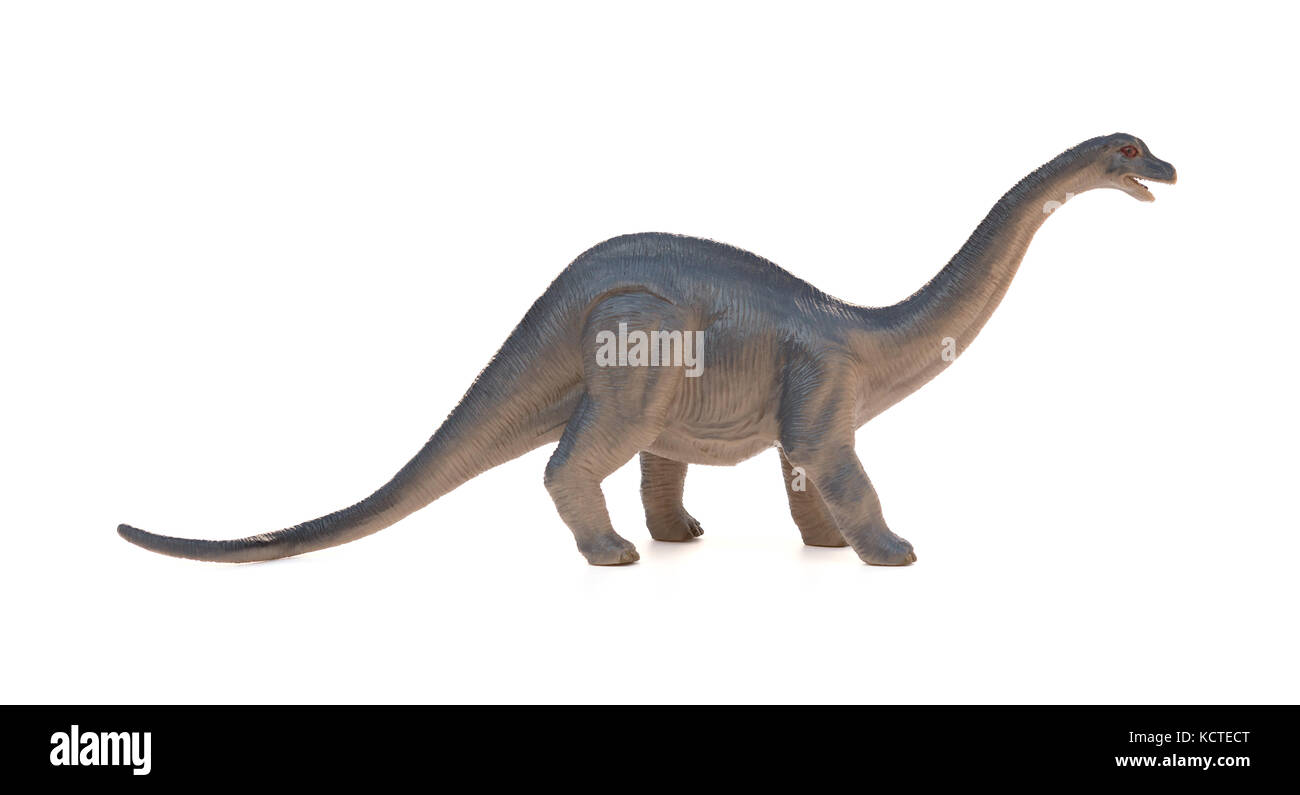 side view Diplodocus toy on a white background Stock Photo - Alamy