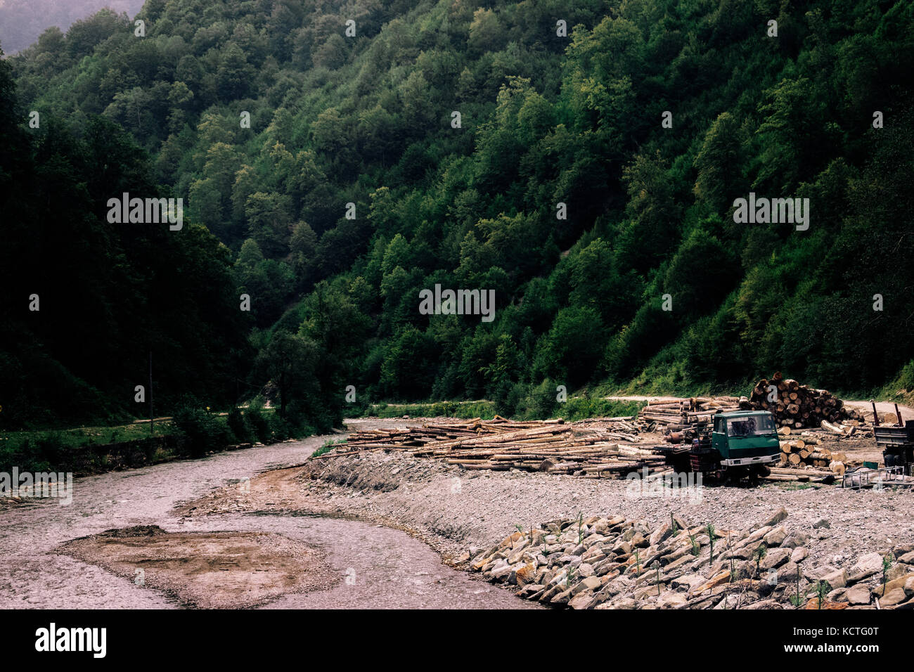 Stacks Of Logs Near River Surrounded By Lush Green Forest Stock Photo ...