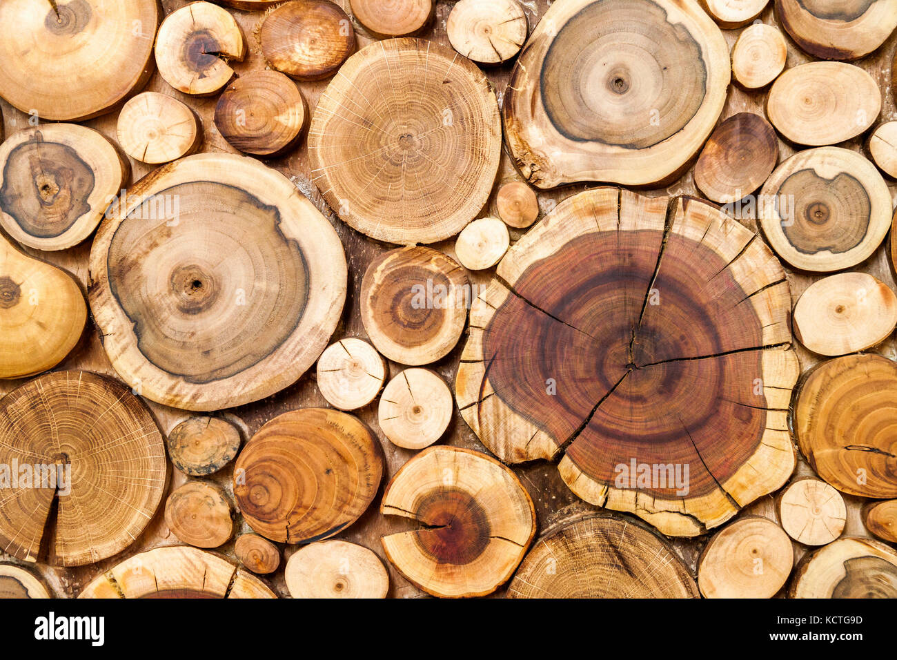 Round wooden stumps background,Trees cut section for background texture ...