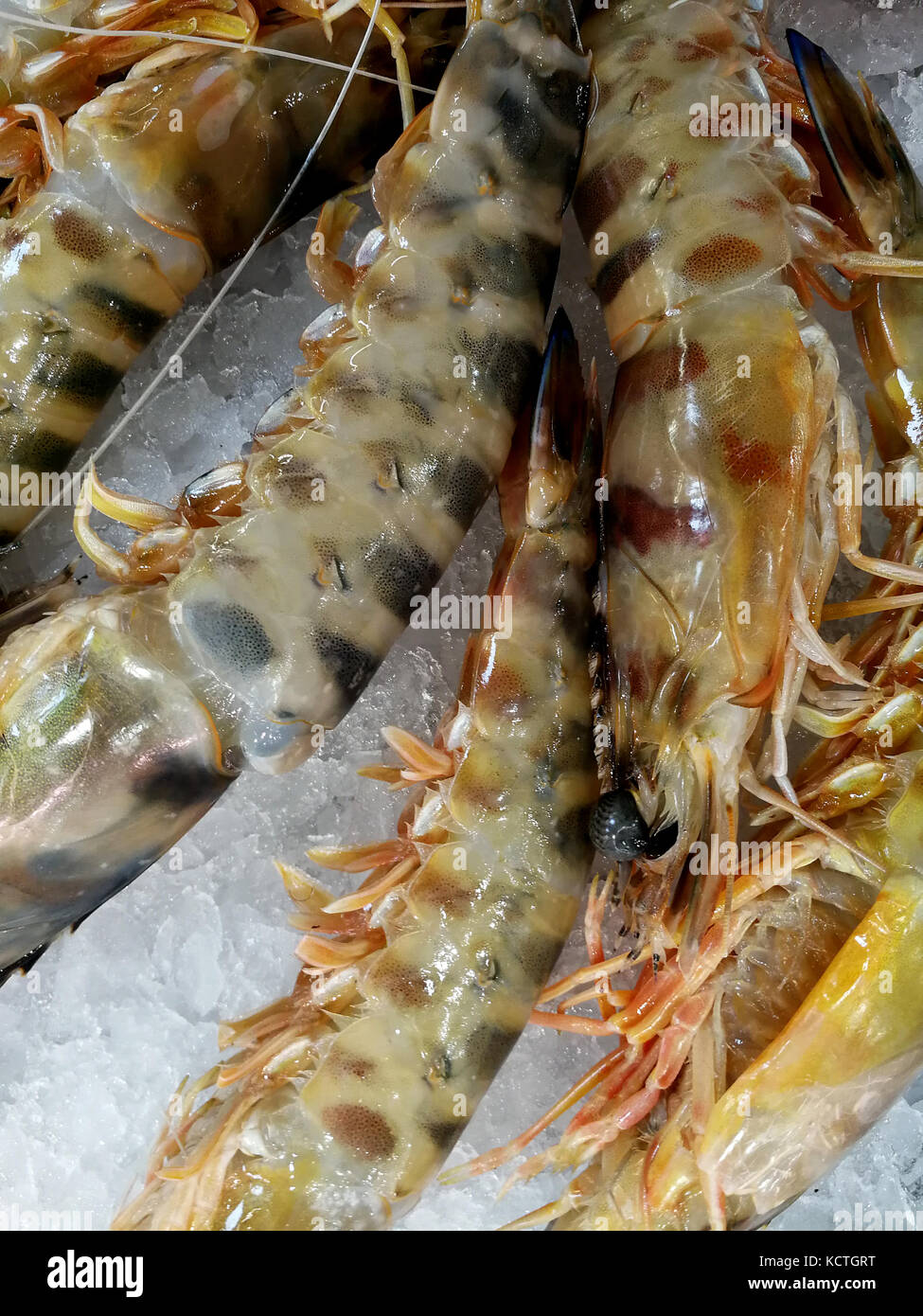 fresh shrimp at market Stock Photo - Alamy
