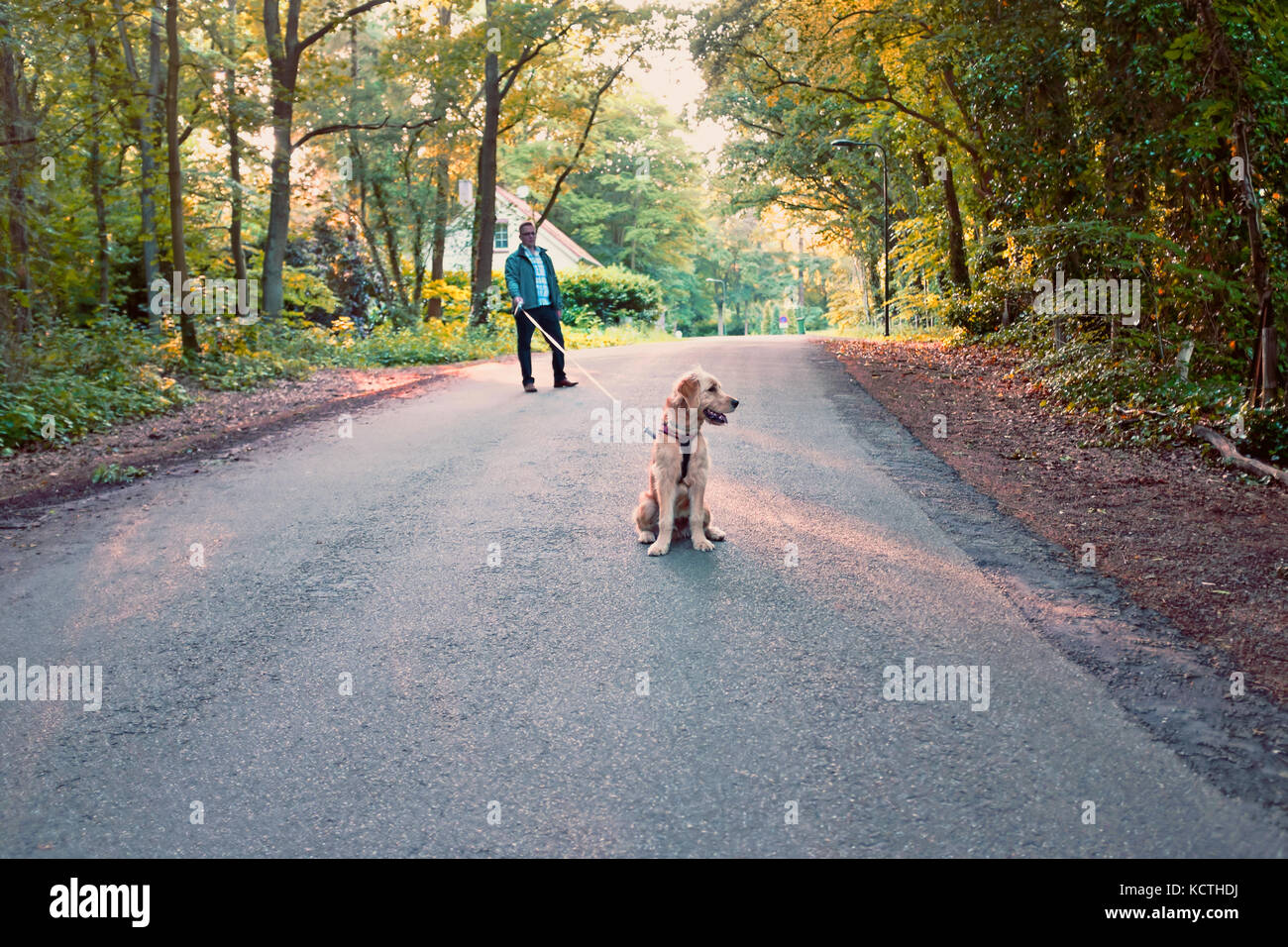 Man walking with his dog in the forest in the countryside from the ...