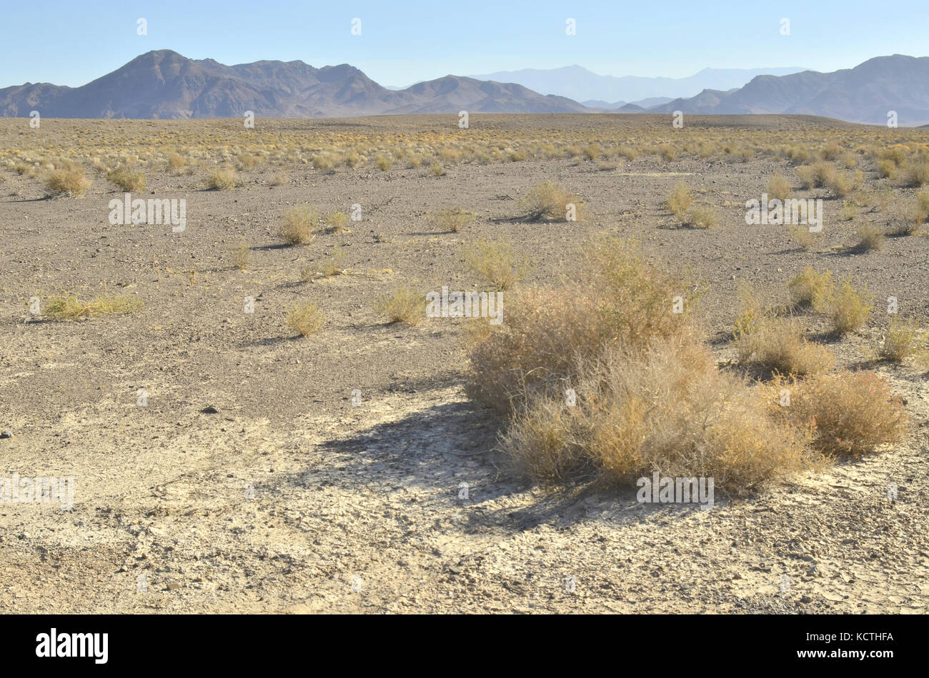 Mojave desert landscape Stock Photo - Alamy