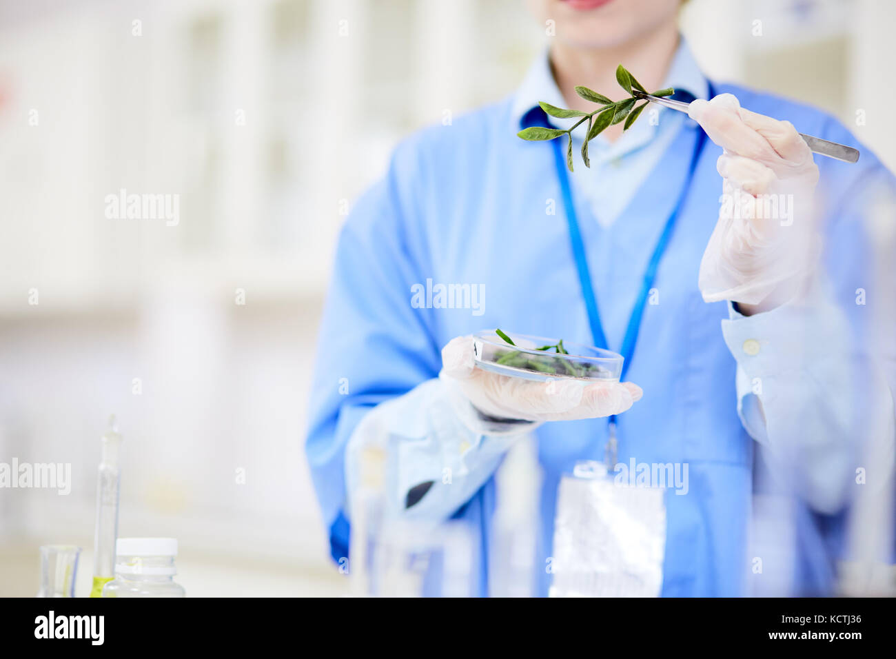 Female Biologist with Petri Dish Stock Photo - Alamy
