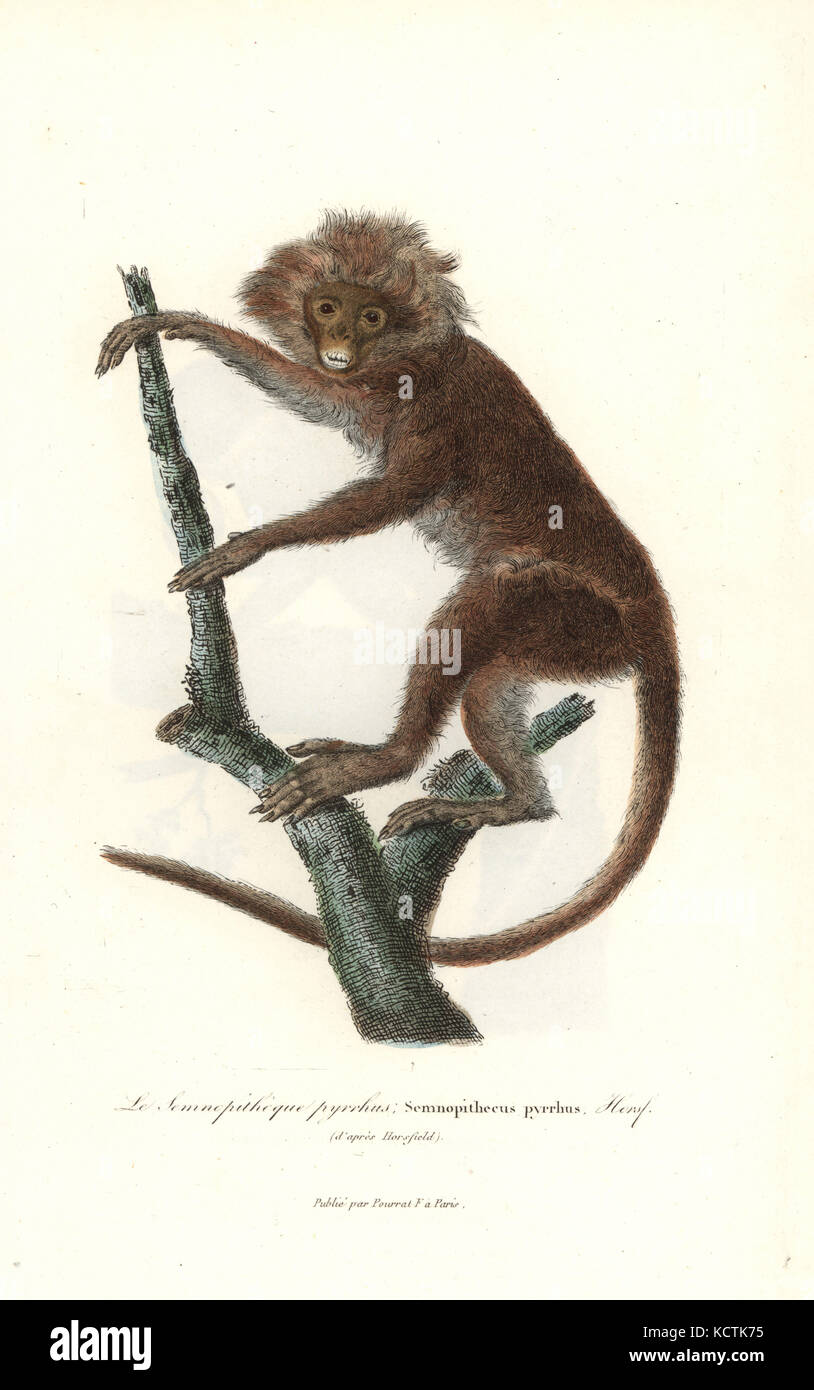 Rene and thomas hi-res stock photography and images - Alamy