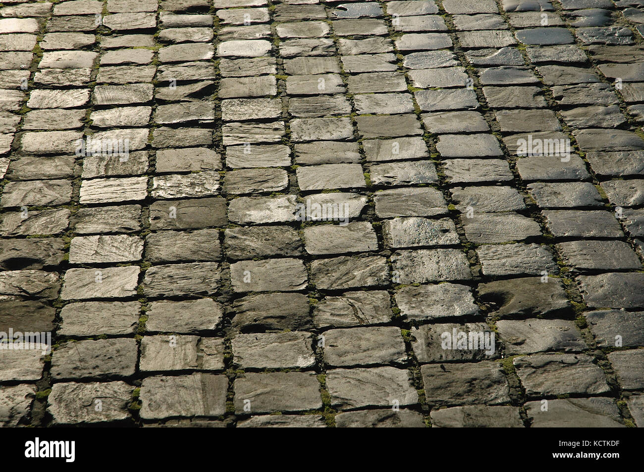 Detail of a paving block road surface in the winter sun Stock Photo - Alamy