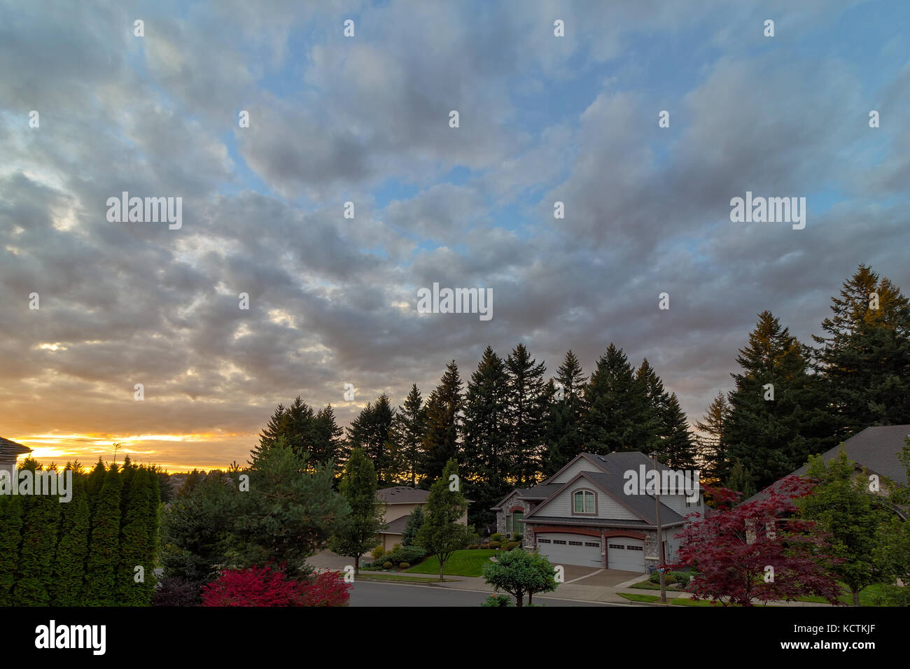 Sunset over street of suburban neighborhood of luxury upscale homes in ...
