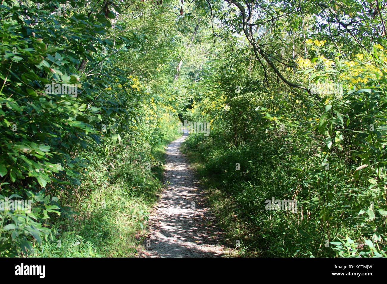The beauty of nature and the parks of Southwestern Ohio Stock Photo - Alamy