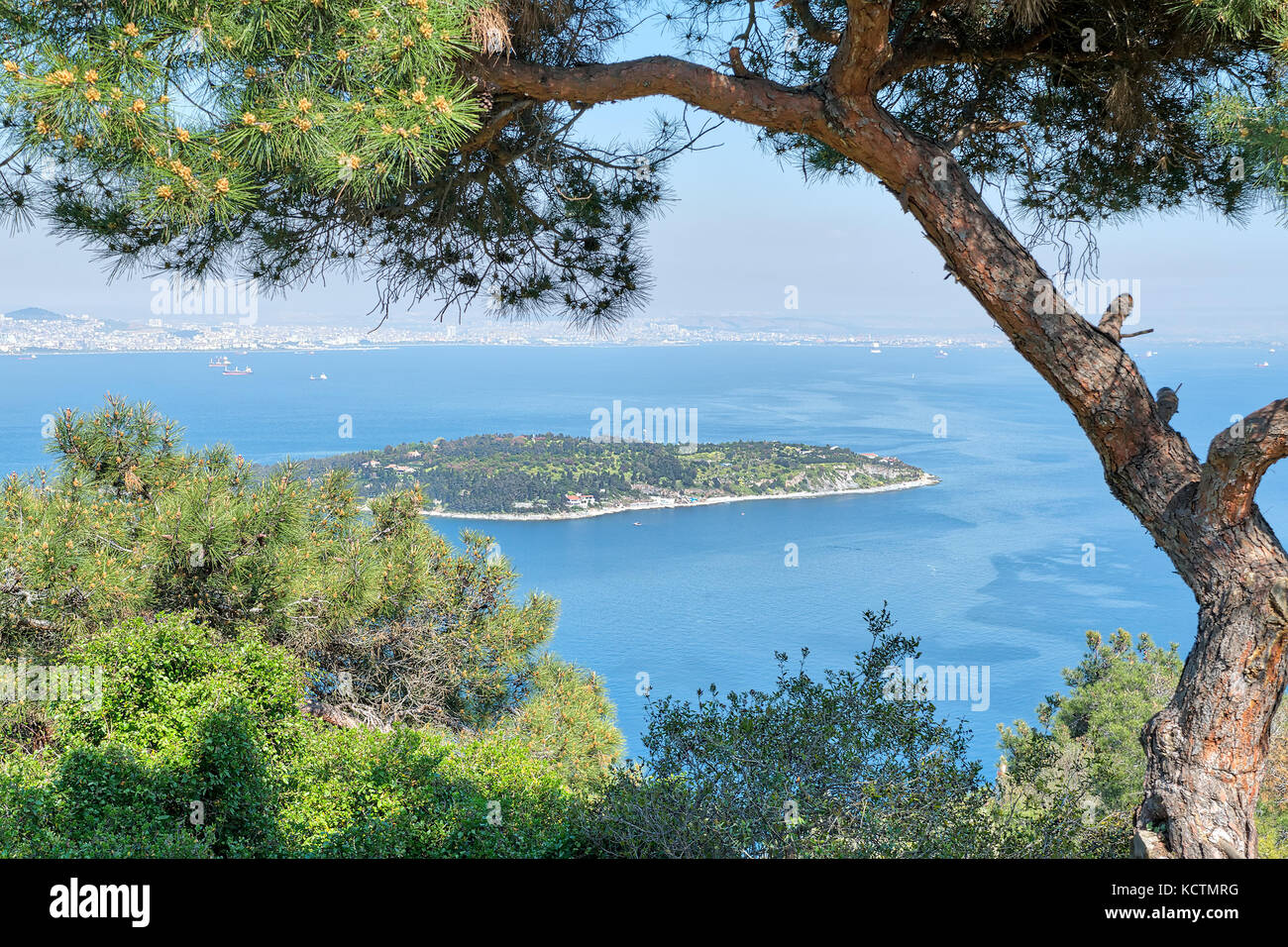 Aerial view of Sedef Island (Mother of Pearl Island) framed by green ...