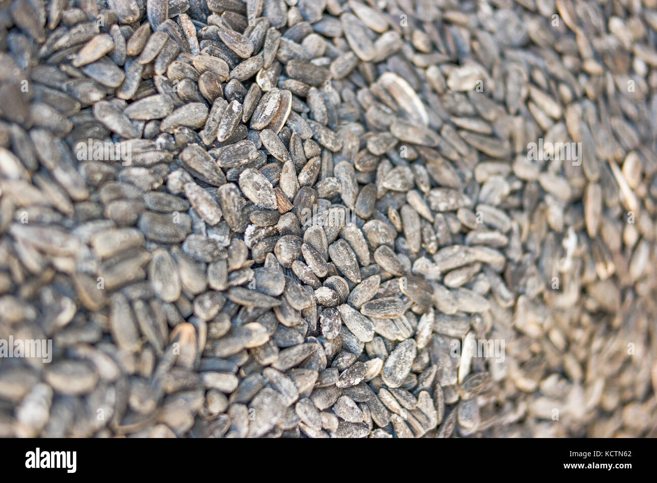 Detail of roasted salty sunflower seeds on a fair stall, dramatic ...