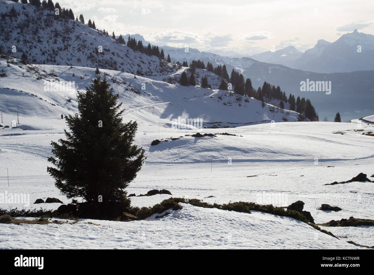 Joux plane hi-res stock photography and images - Alamy