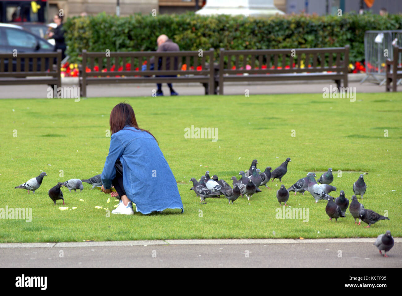 Glasgow pigeons hi-res stock photography and images - Alamy