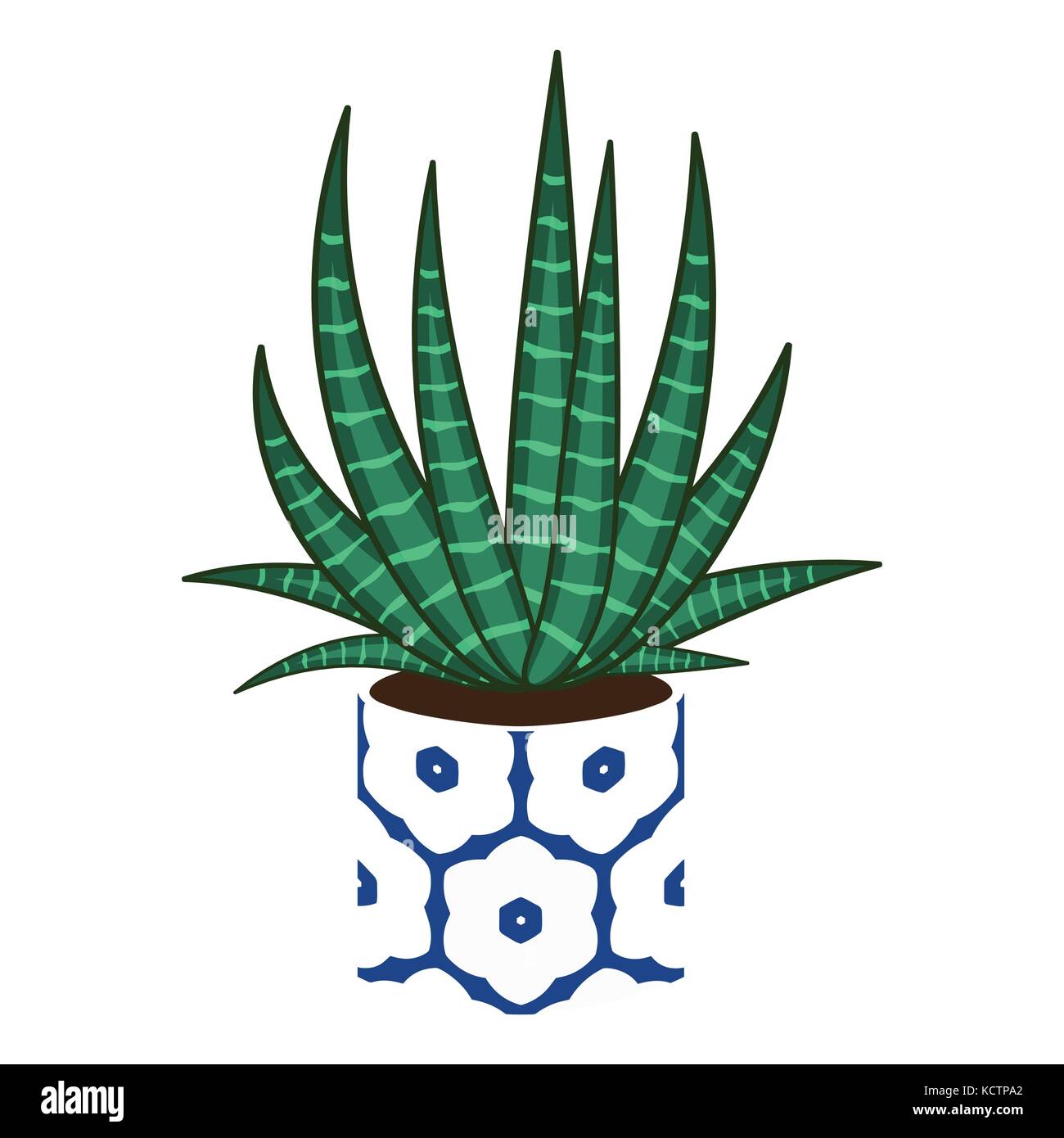 Agave plant in pot Stock Vector Images - Alamy