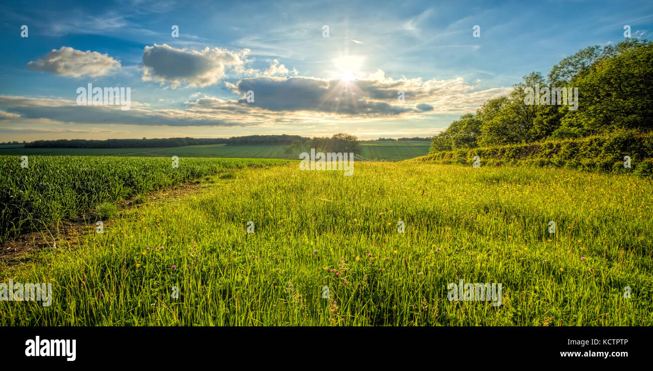 Sun rays over fields in summertime in rural Cambridgeshire, England ...