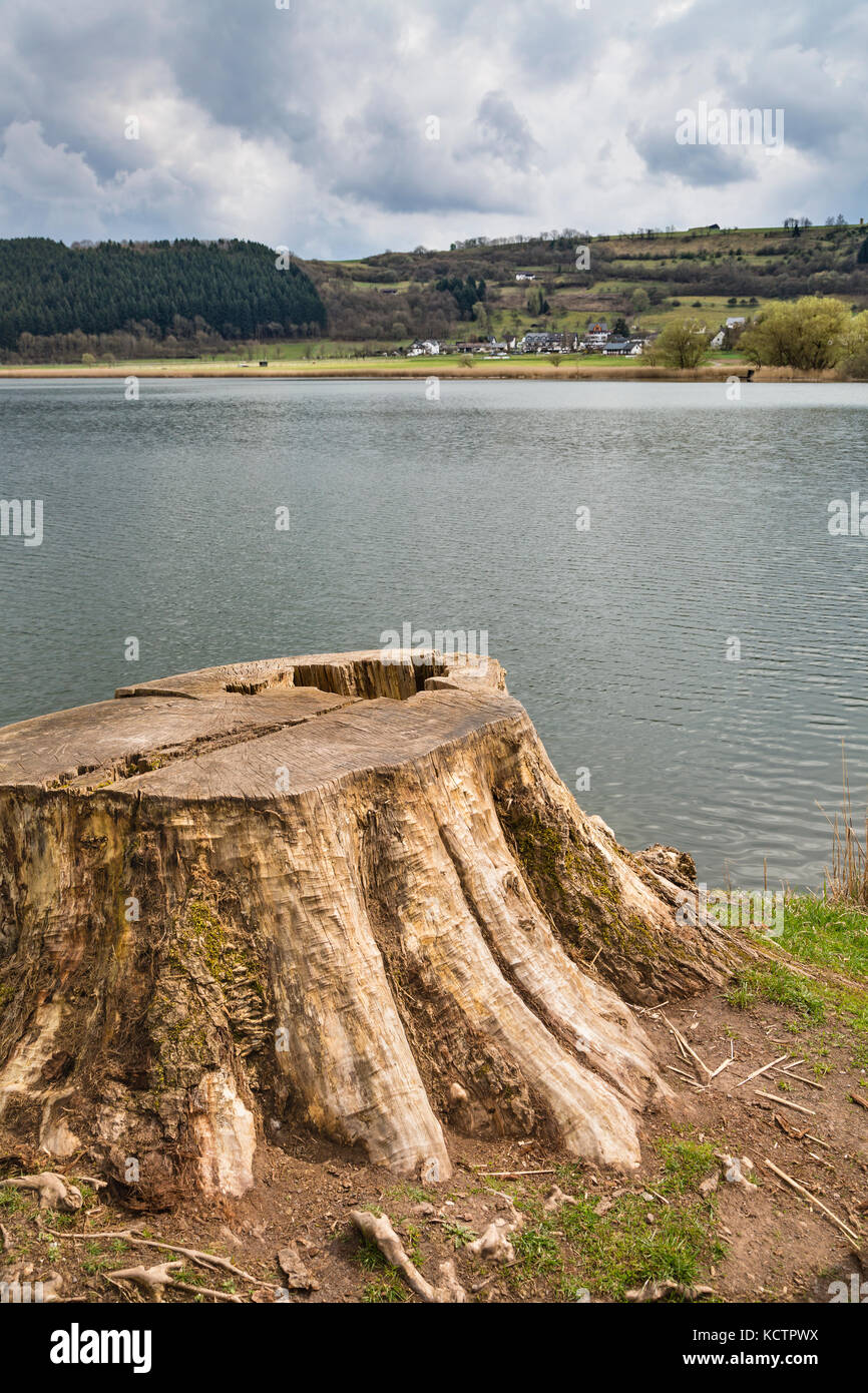 Vulkaneifel maar hi-res stock photography and images - Alamy