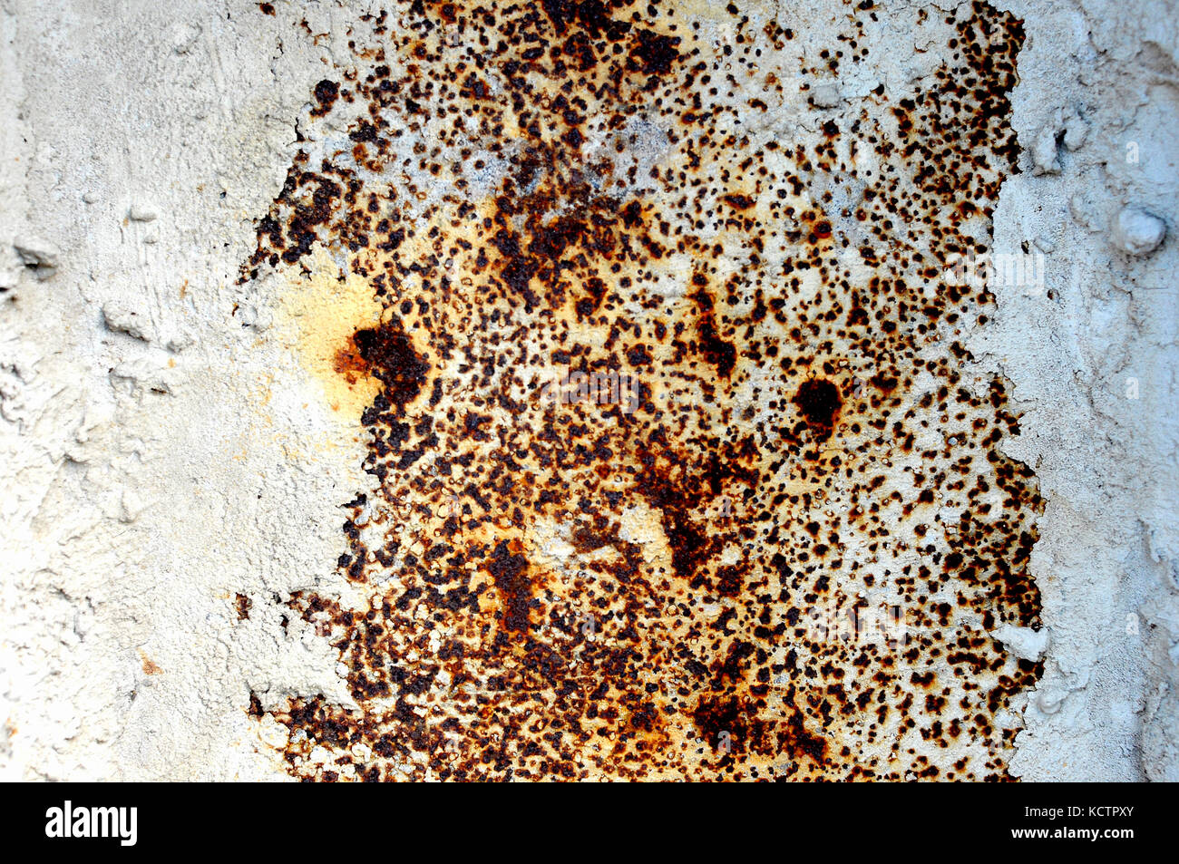 Texture of an old white rusted metal iron sheet. Detailed rust ...