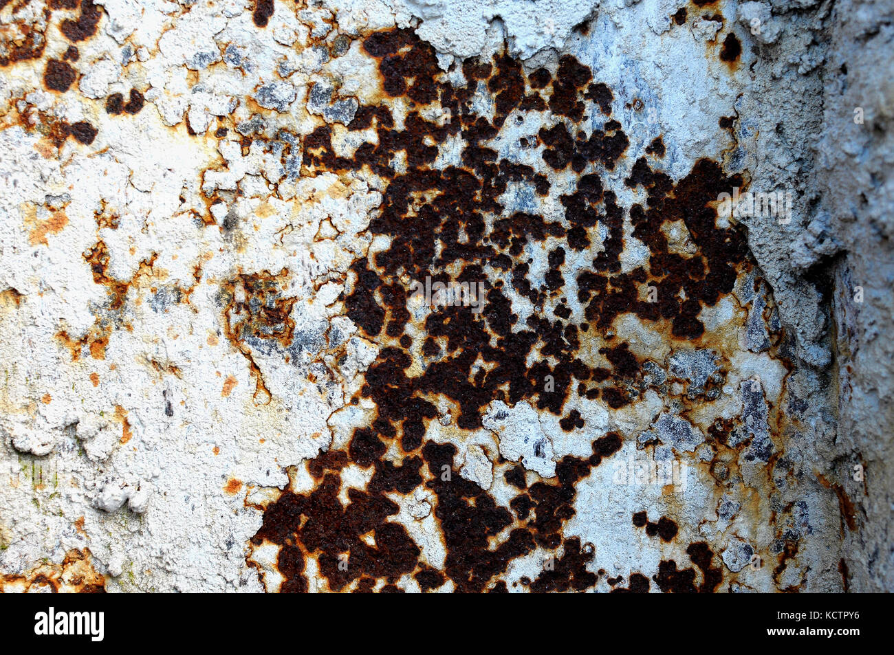 Texture of an old white rusted metal iron sheet. Detailed rust ...