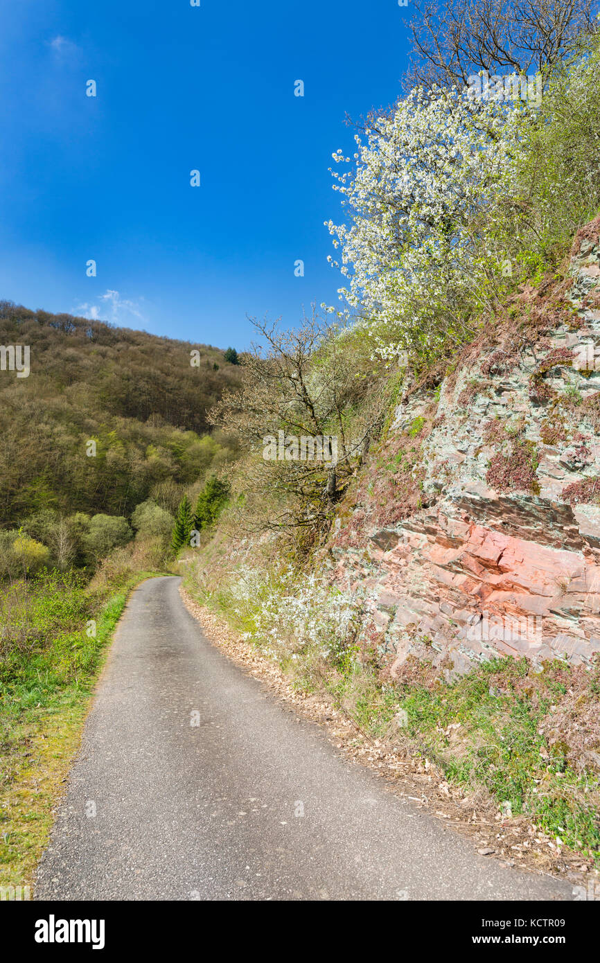 View along a narrow road near the Calmont in Bremm in the Moselle ...