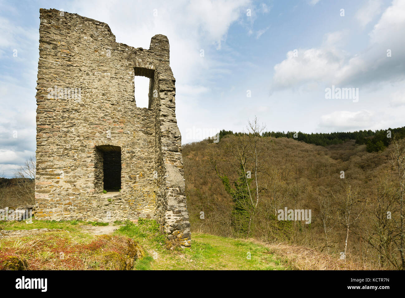 View of a ruined building of the castle Oberburg Manderscheid in the ...