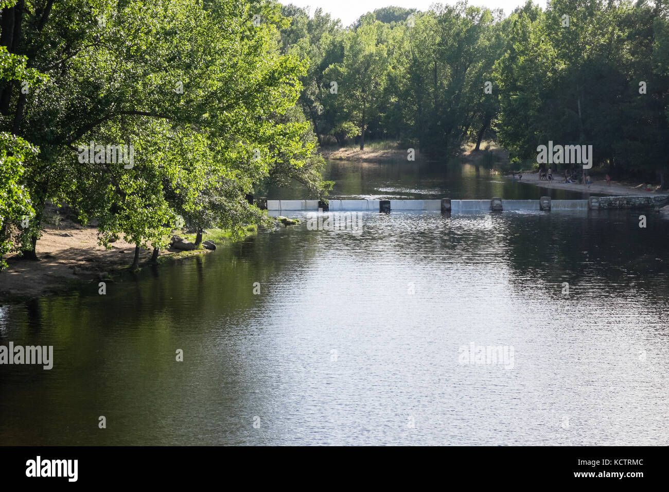 small dam on a calm river with green trees on its banks Stock Photo - Alamy