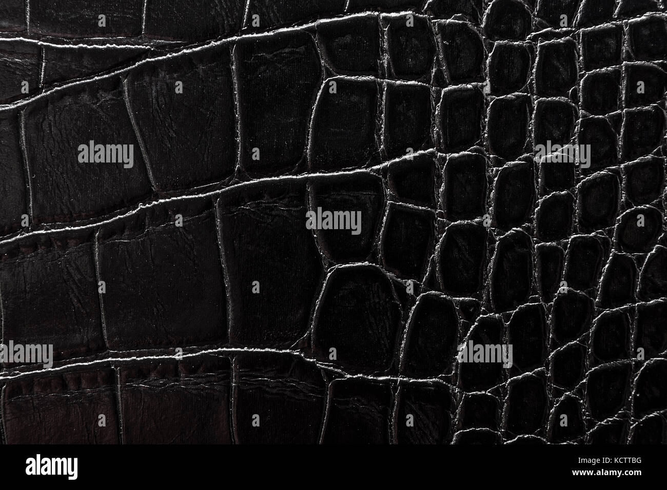 the texture of the skin is gray, Studio, still life photography Stock ...