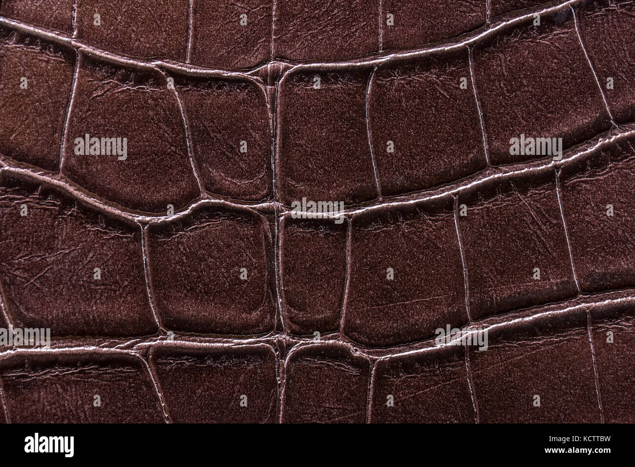 texture of the skin yellow, studio, subject survey Stock Photo - Alamy