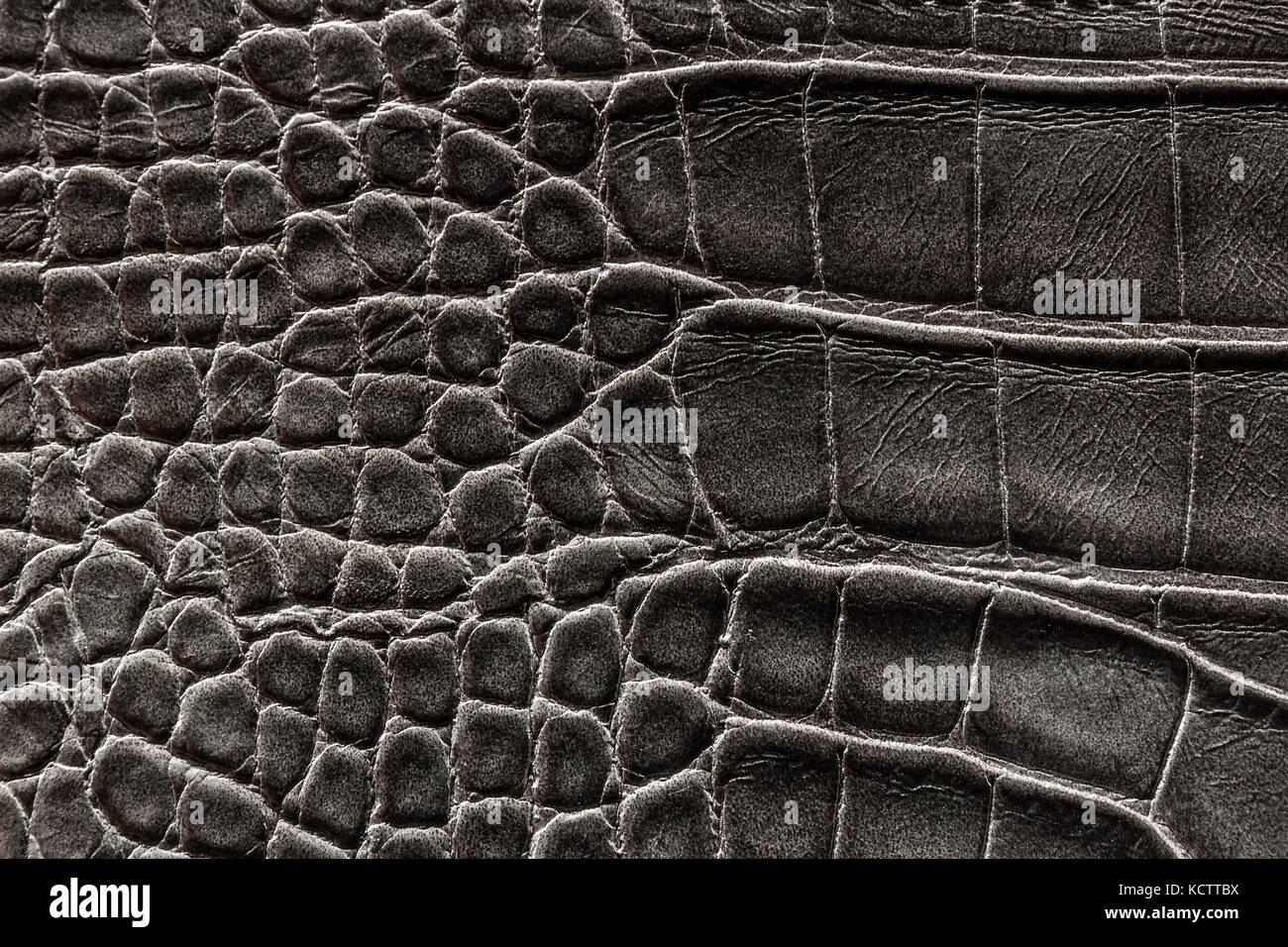 the texture of the skin is gray, Studio, still life photography Stock ...