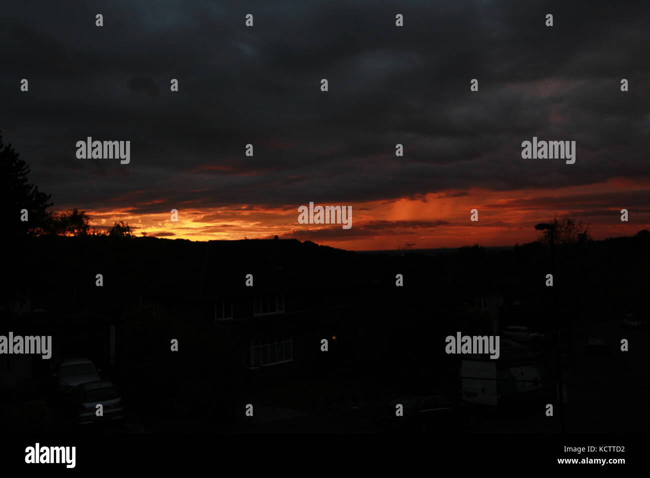 Dramatic red sunset through trees Stock Photo - Alamy