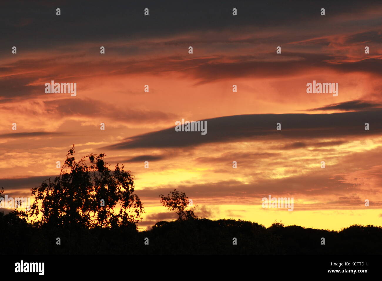 Dramatic red sunset through trees Stock Photo - Alamy
