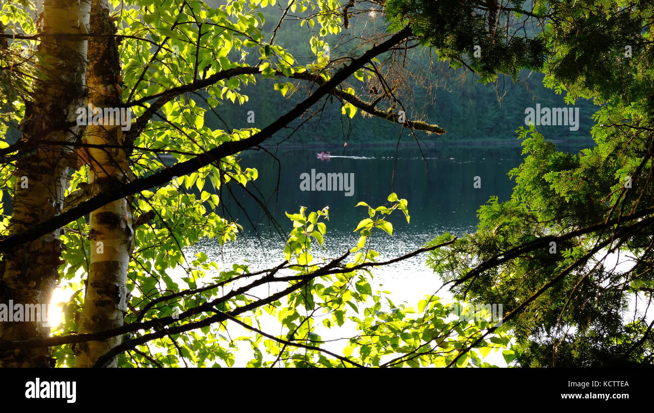 Calm lake view hi-res stock photography and images - Alamy