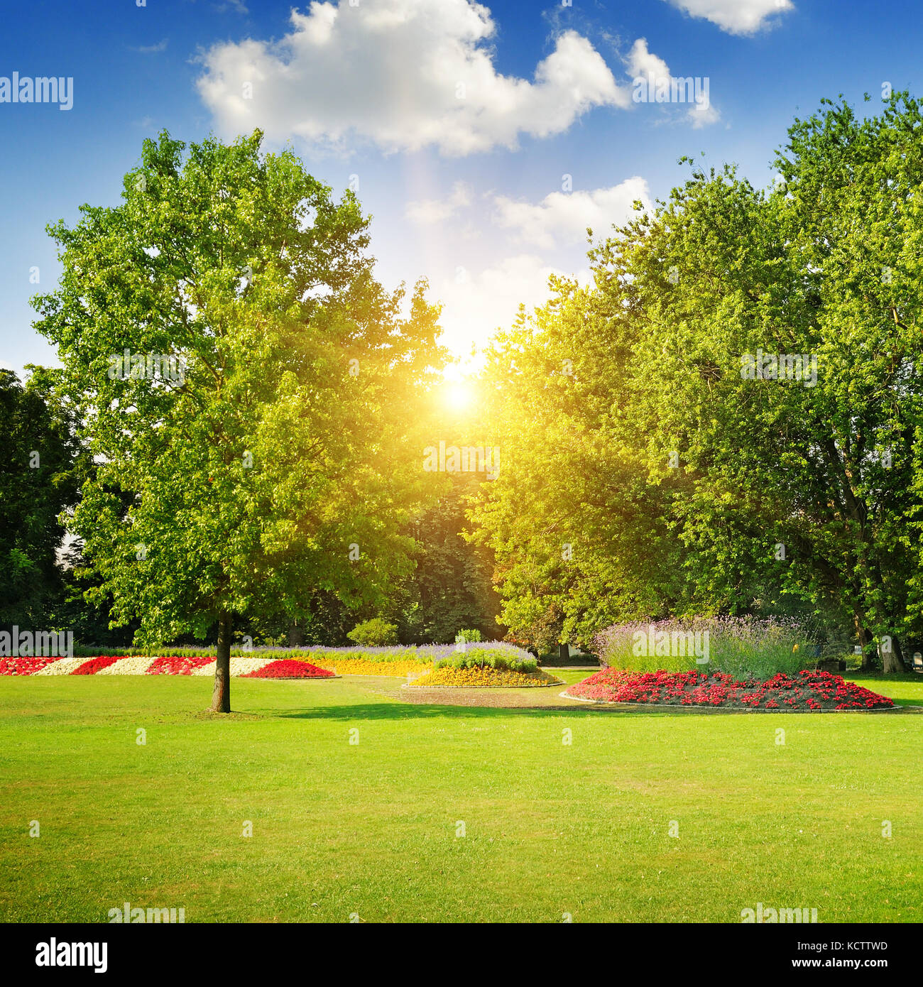 summer park with beautiful flowerbeds Stock Photo - Alamy