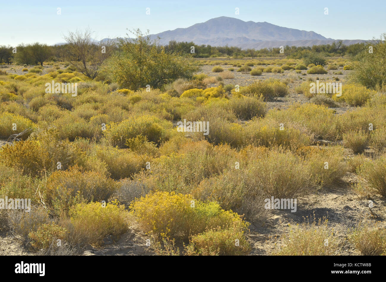 Mojave desert landscape with mountain Stock Photo - Alamy