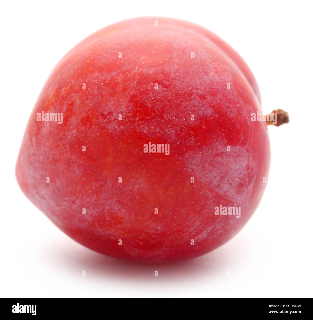 Single plum closeup over white background Stock Photo - Alamy
