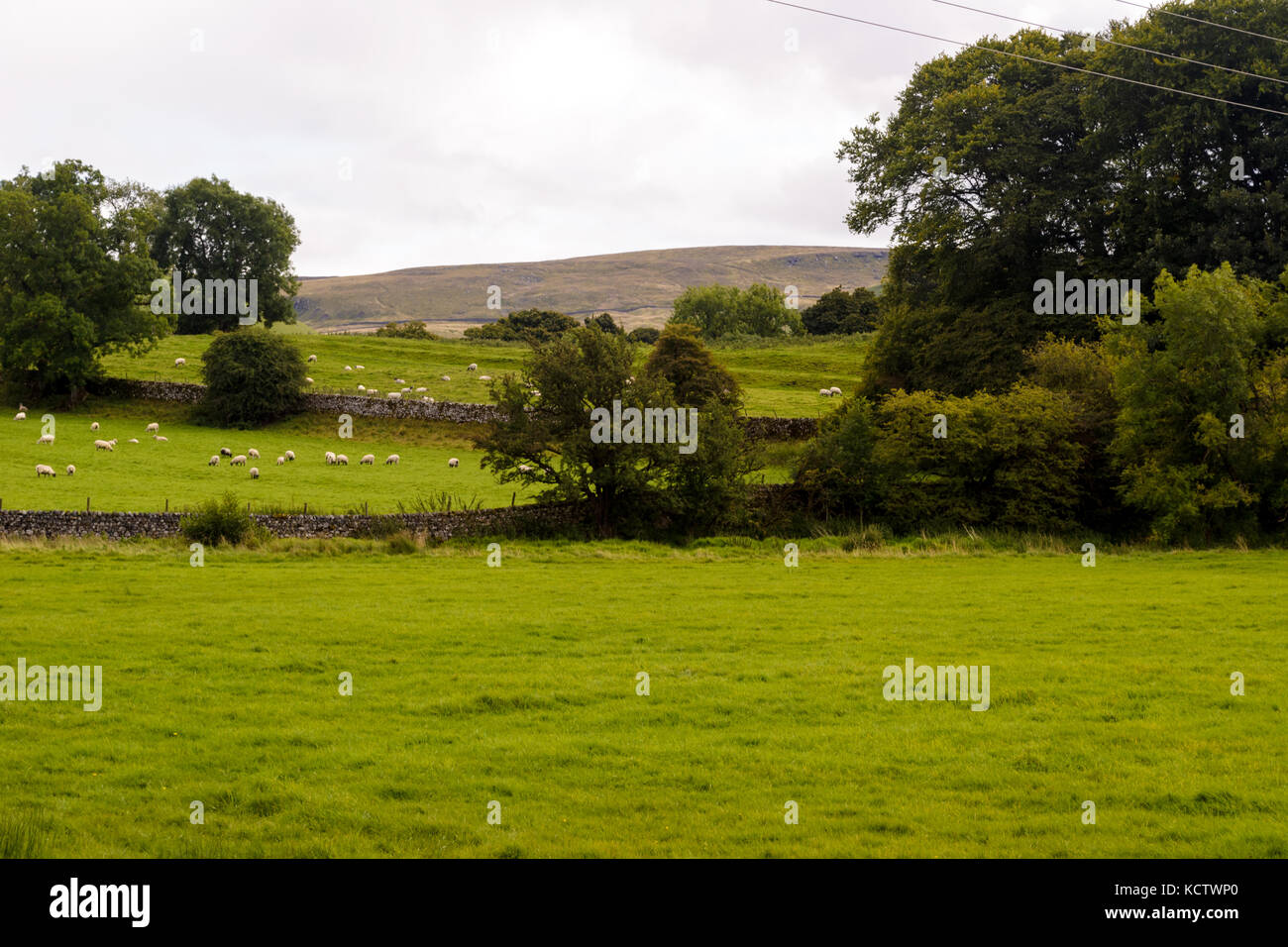 Fields in the north yorkshire moors in the united kingdom Stock Photo ...