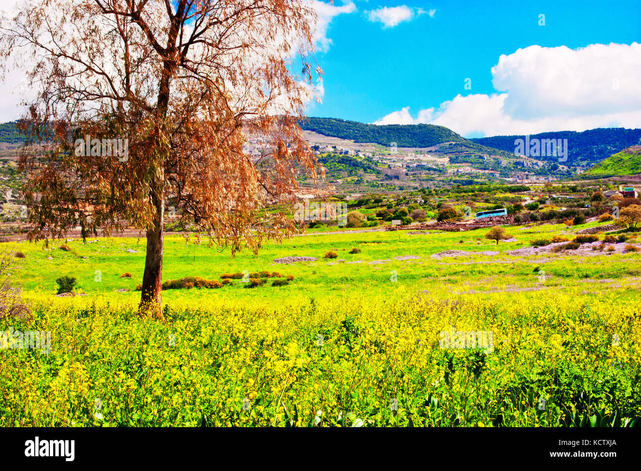 Idyllic tranquil land hi-res stock photography and images - Alamy