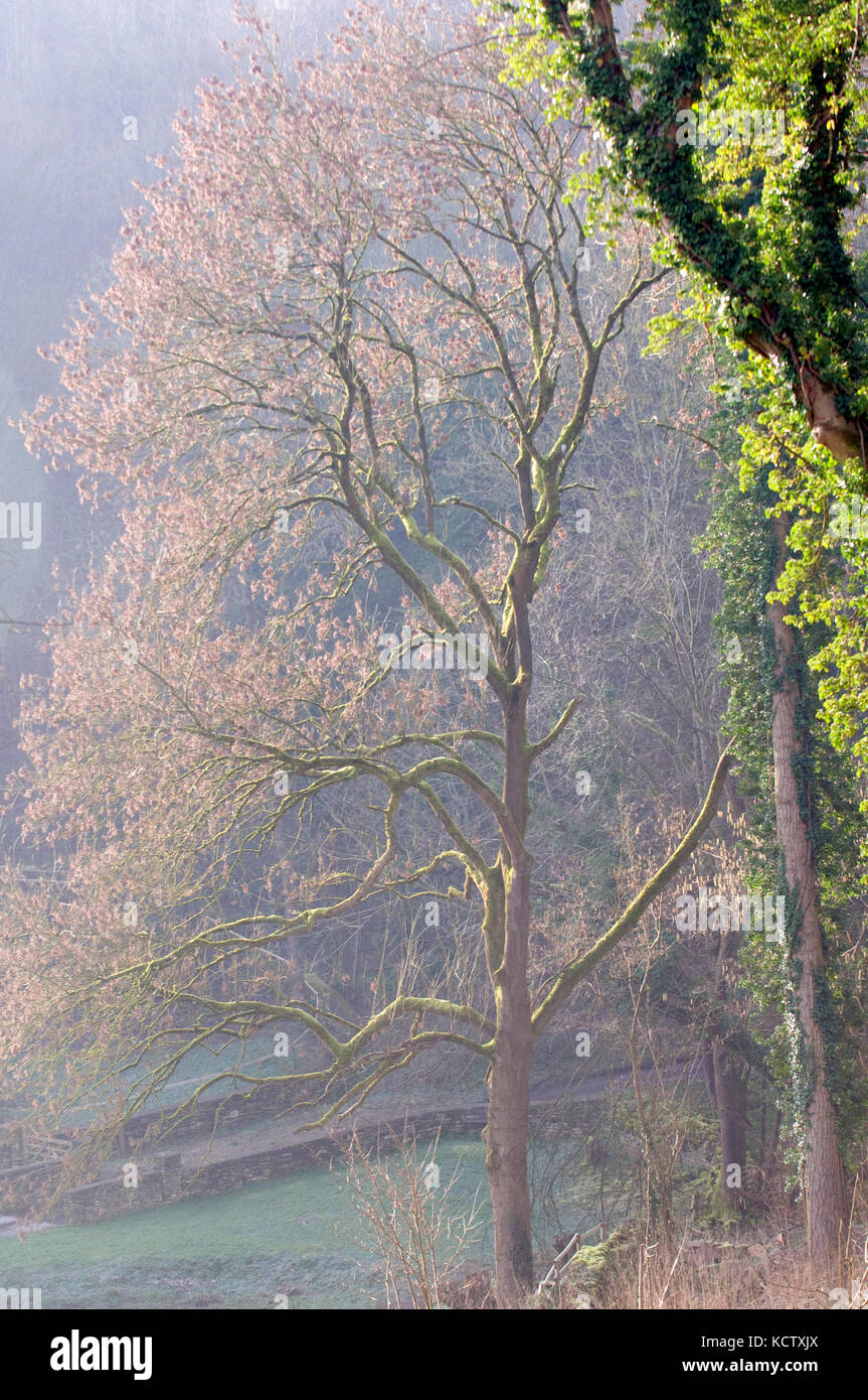 Spring time sun hi-res stock photography and images - Alamy