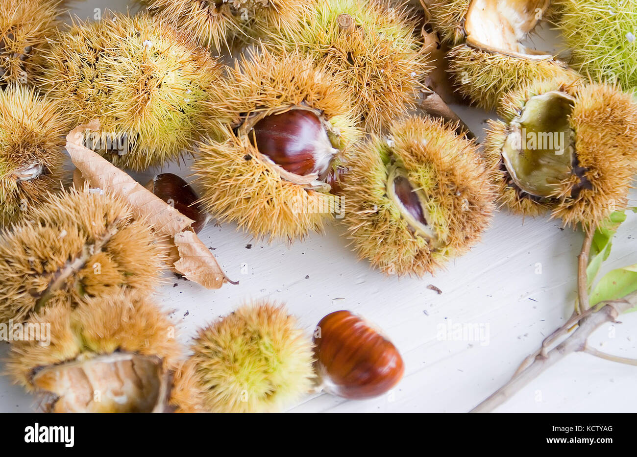 Chesnuts in a Provencal market in Autumn Stock Photo - Alamy