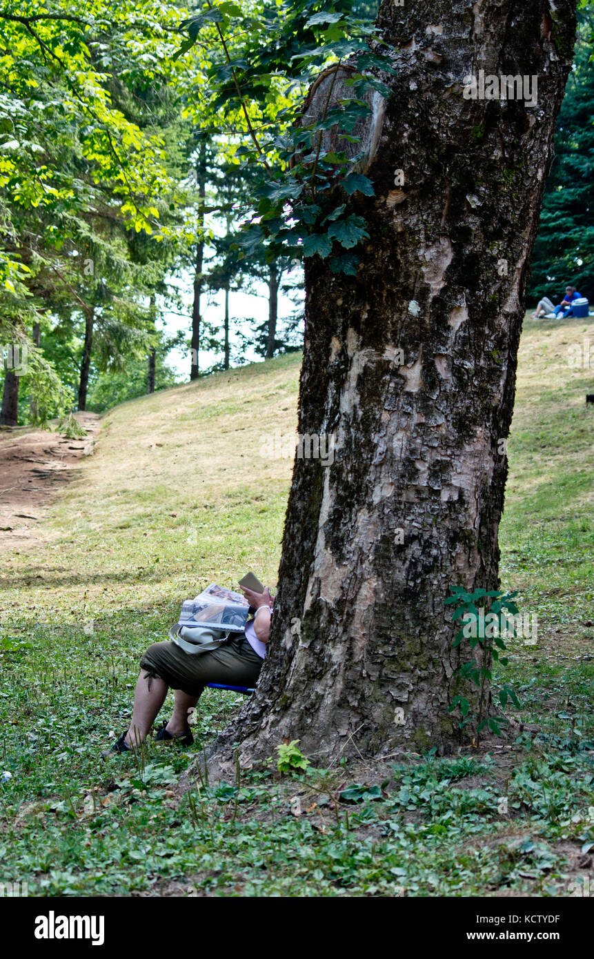 Lawn care magazine hi-res stock photography and images - Alamy
