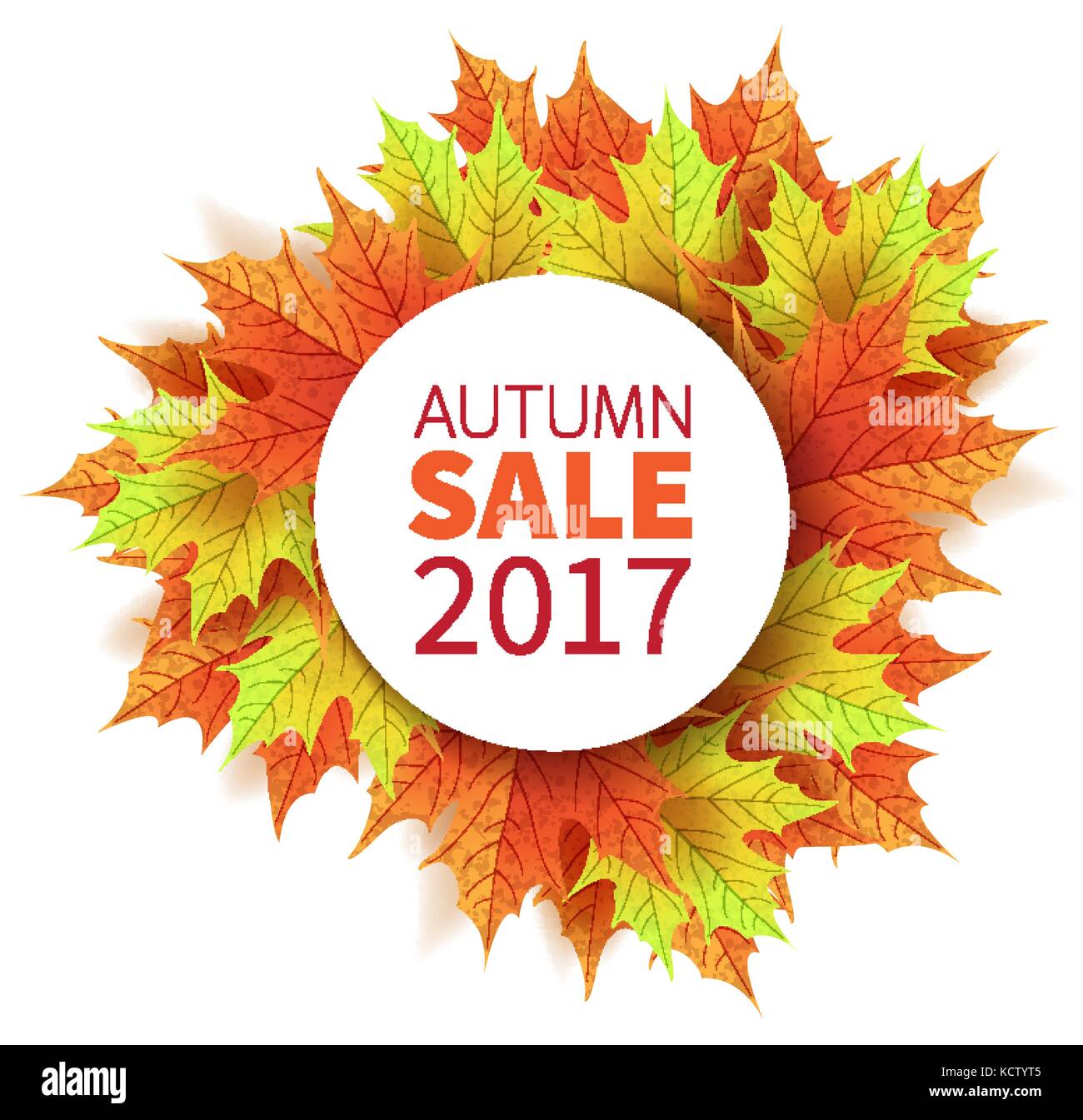 Autumn leaves. Bright colourful autumn maple leaves. Template fo Stock ...