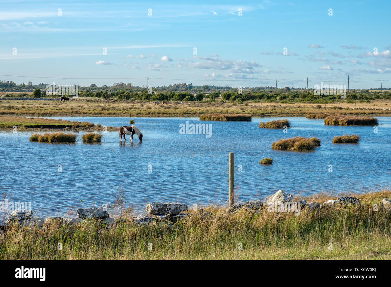 Oland hi-res stock photography and images - Alamy